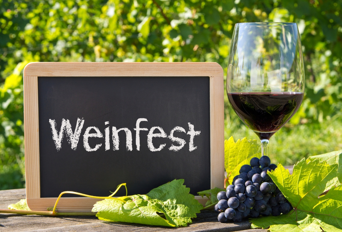 Binger Winzerfest 2025 – Campingplatz Hindenburgbrücke